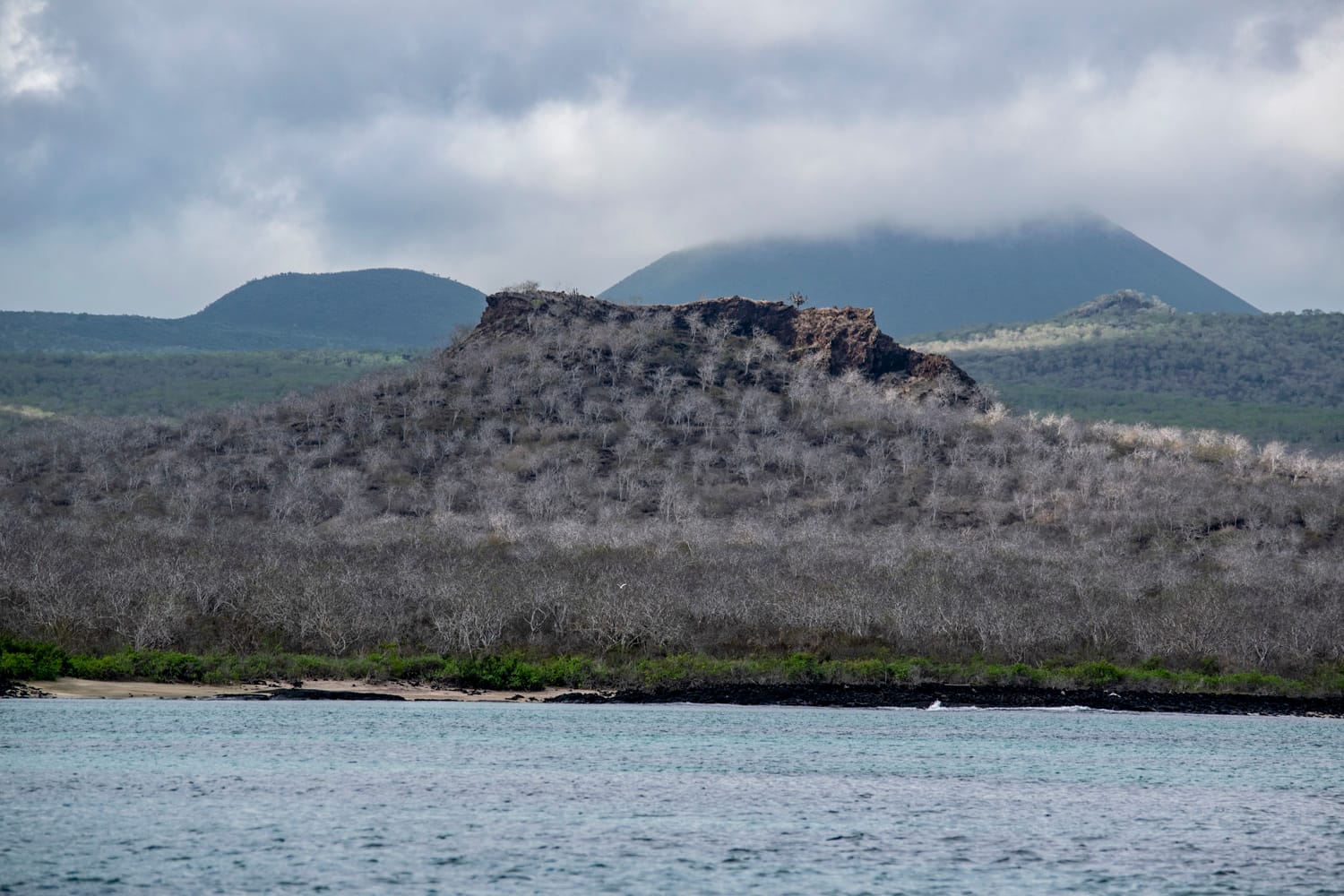 Galapagos: Post Office Bay – The Creative Works of Jonny Leather
