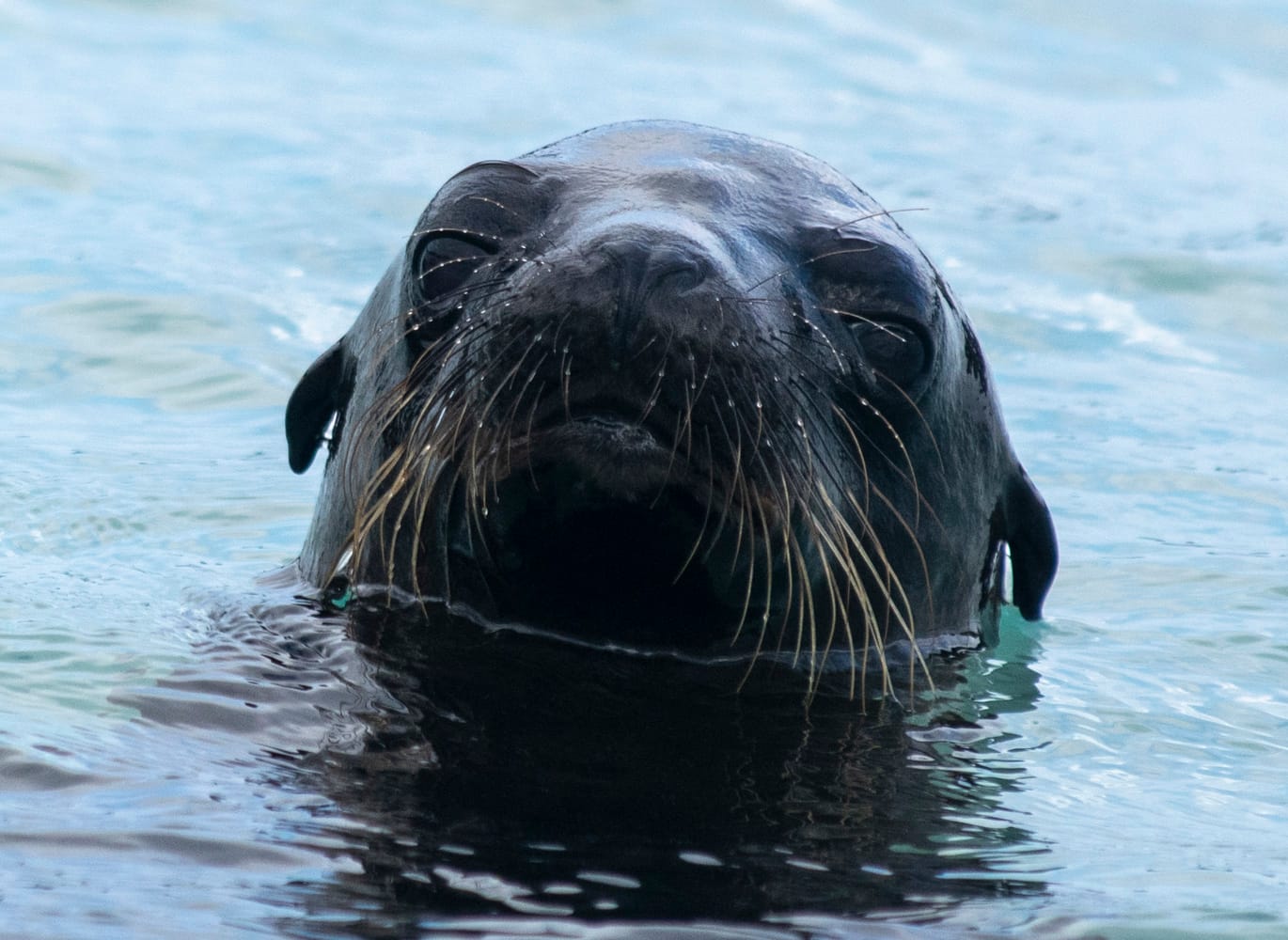 Galapagos: Post Office Bay – The Creative Works of Jonny Leather